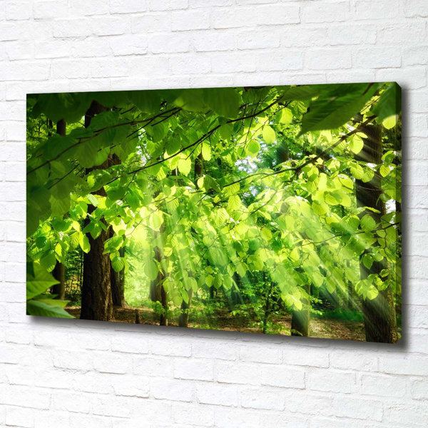 Union Rustic Beech Leaves - Kunstdrucke auf Leinwand - Wrapped Canvas | Wayfair.de